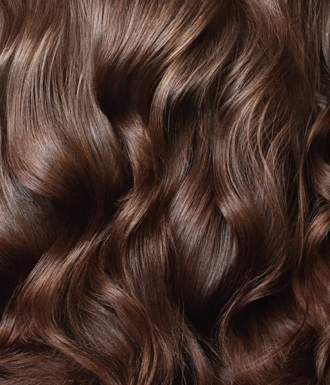 Shampoing colorant Cacao châtain - 200ml - Végétal Origin